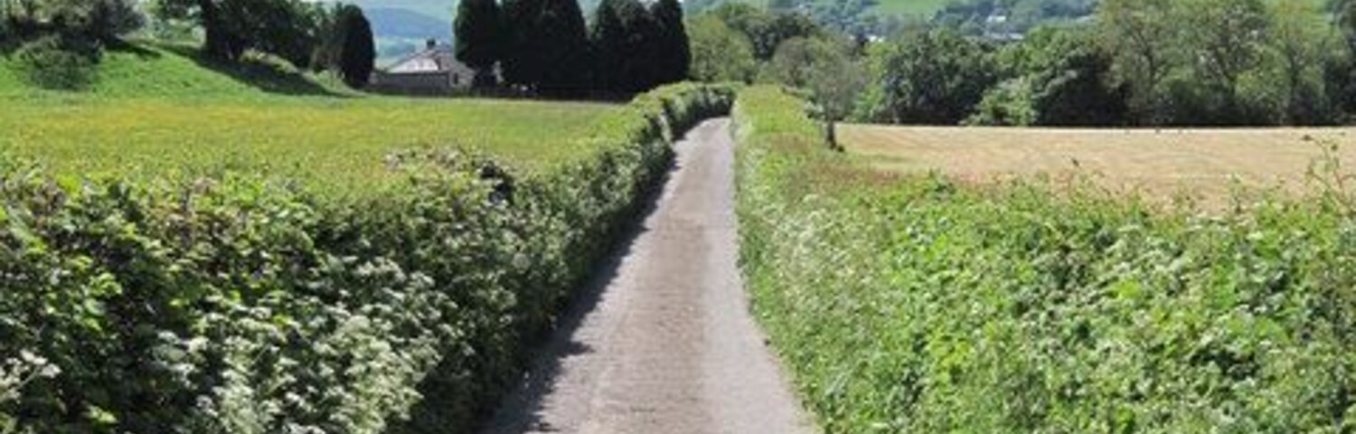 View of the Road towards Llanferres Moel Gyw is in the background
