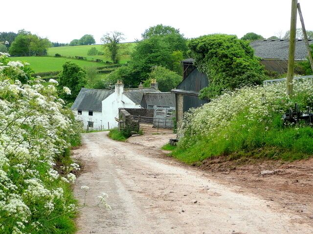 Uma estrada de terra rural serpenteia até uma casa branca com telhado preto, cercada por vegetação exuberante e arbustos floridos de branco.