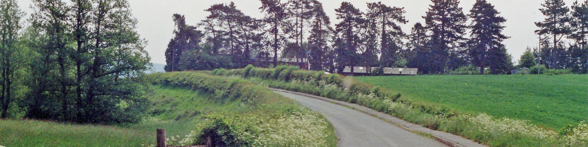 Dingestow: site/remains of former station, 1990. View southward, with probable station house in the trees: ex-GWR Monmouth Troy (to left) - Pontypool Road (to right) line, closed completely 13/6/55.
