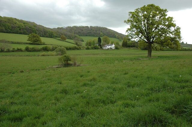 Grazing land near Bettws Newydd Grazing land near Bettws Newydd viewed from the Usk Valley Walk.