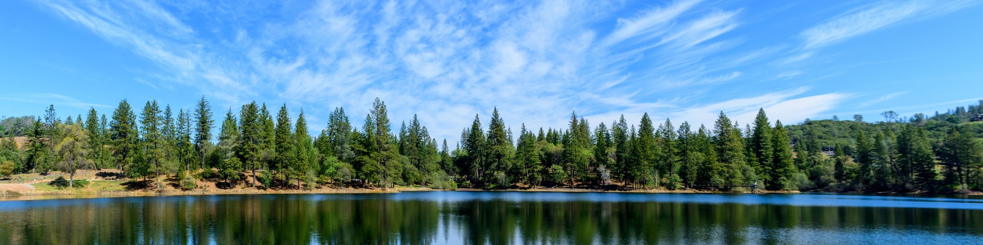 Um lago tranquilo refletindo árvores e céu, rodeado por uma floresta.
