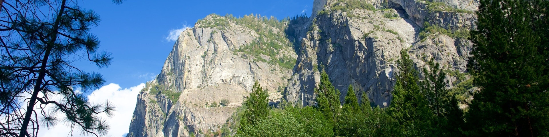 Kings Canyon National Park