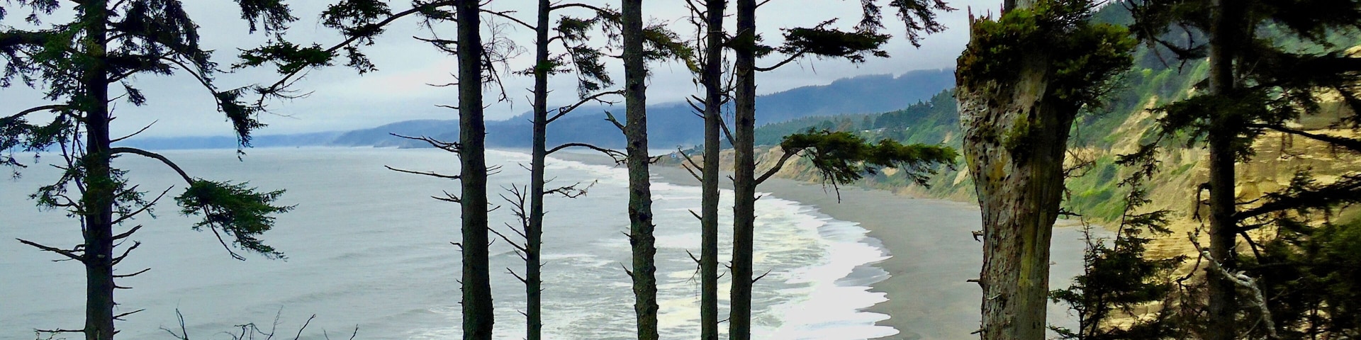 Agate Beach along the Northern California Coast is accessed through Patrick's Point State Park. The beach is known for its geological gems that can be found in the sand and nearby cliffs. The access to the beach follows a winding trail descending 300 feet from the parking and the interesting aspect is that there are signs that inform that any rocks, gems, or driftwood that can be carried out is allowed. The catch is that one needs to haul the finds back up the hill. The beach has 2 miles to rock hound. Lynn and I spent much of the day here, found many beautiful stones and polished some back at home.
#BeachTips