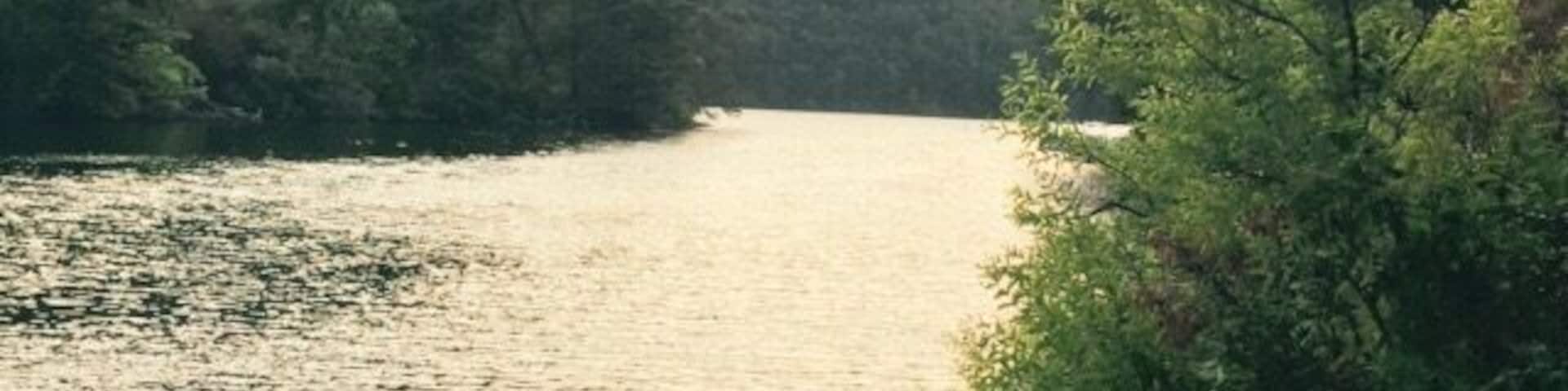 This is a awesome little spot to just pull off the side of the road and take a refreshing dip! You can pay to get into the resort area which has a little sandy beach or you can just jump in off the side of the road which I prefer to do most of the time because it takes less time!