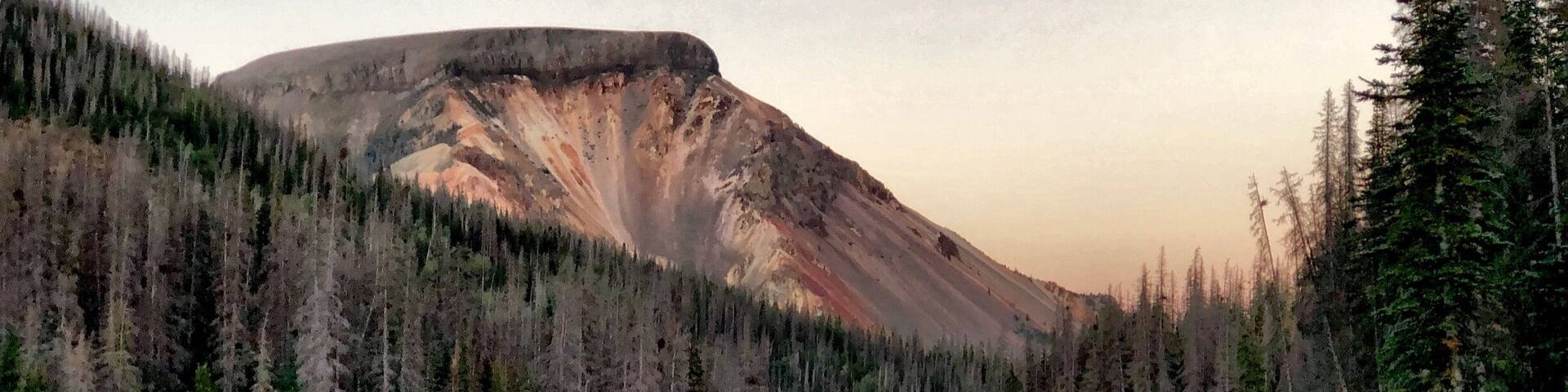 Coming around a curve on a forest service that you’ve been on for 25 miles to see this. San Juan mountains in Colorado.