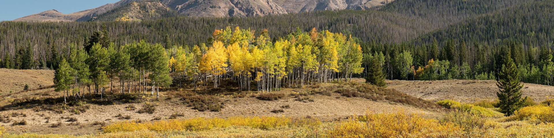 Paisagem montanhosa com uma floresta de árvores exibindo cores de outono.