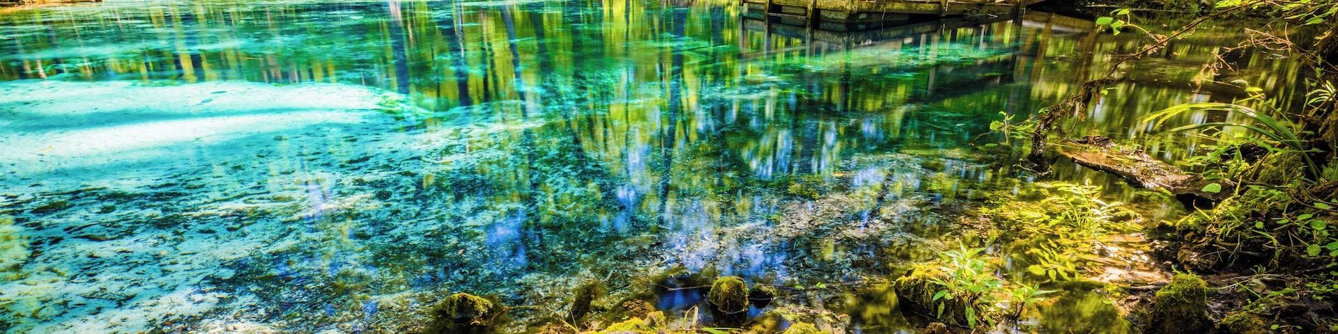 This is a smaller spring adjacent to the main Blue Springs.