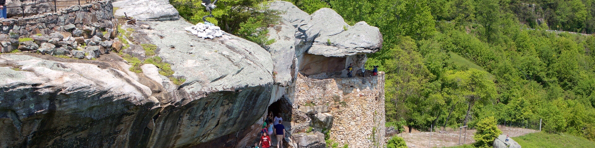 Lookout Mountain mostrando florestas e paisagens assim como um pequeno grupo de pessoas