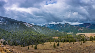 Paisagem montanhosa com florestas densas, um vale e picos nevados ao longe sob um céu nublado.