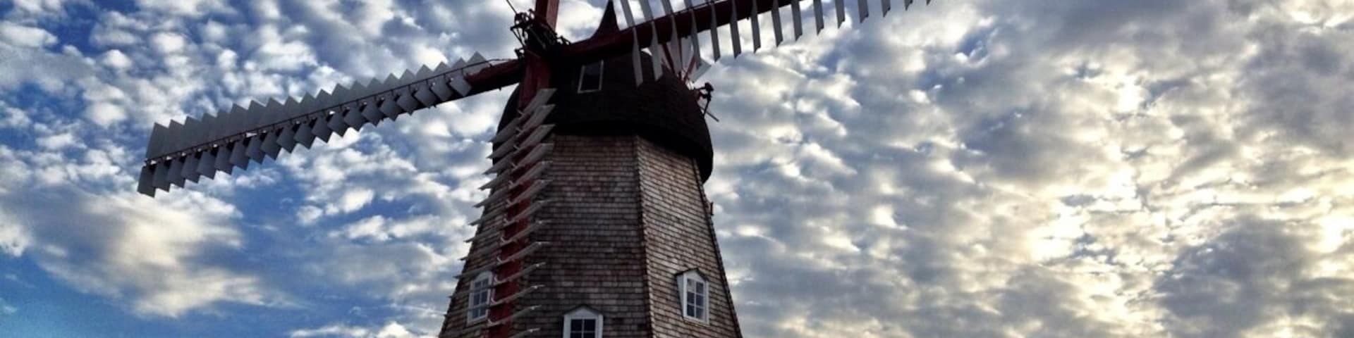 Beautiful Danish Windmill in the town of Elk Horn.
#localgem