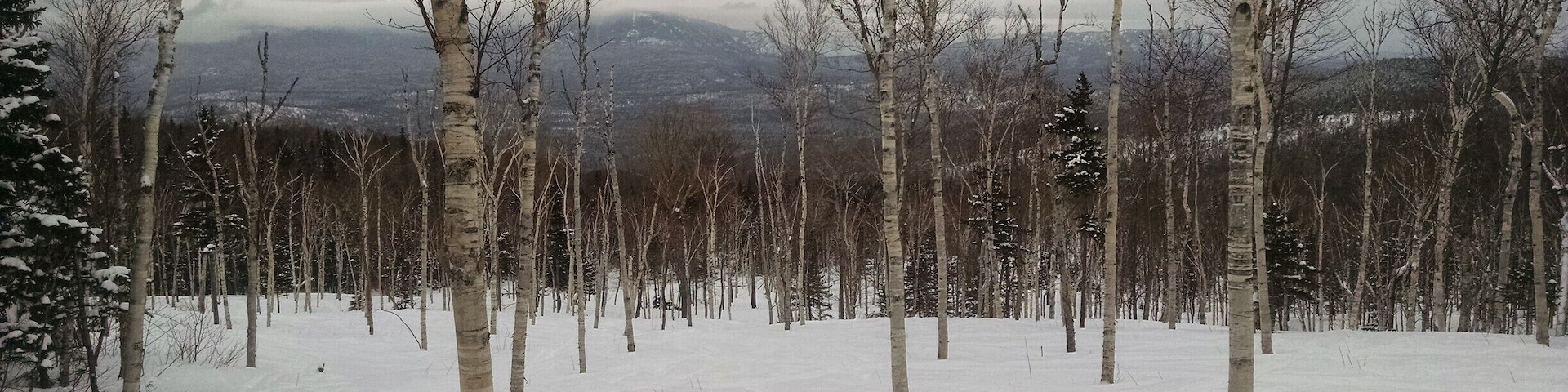 Brackett basin rocks.