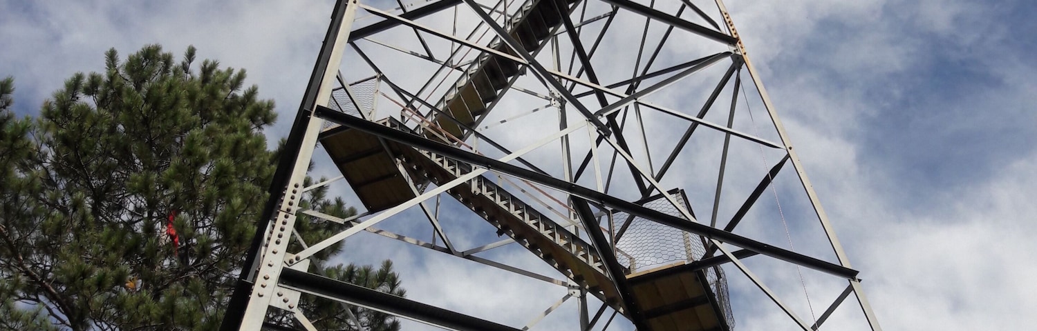 Uma estrutura metálica alta com escadas, rodeada por árvores e um céu parcialmente nublado.
