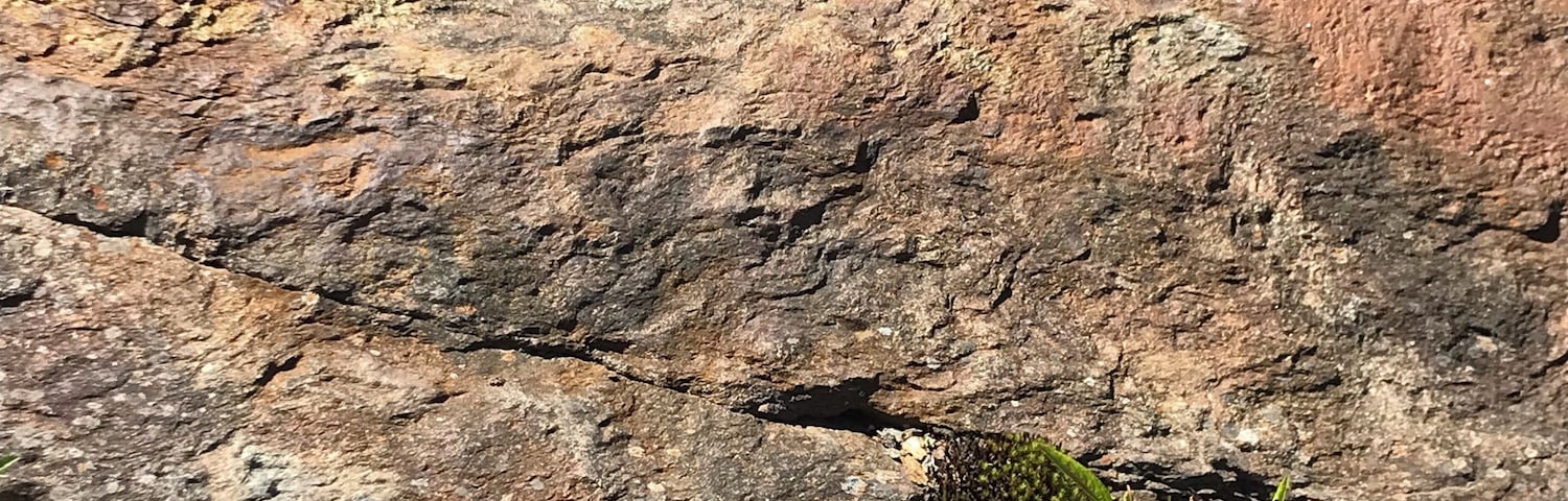 Found some love on today’s nature walk