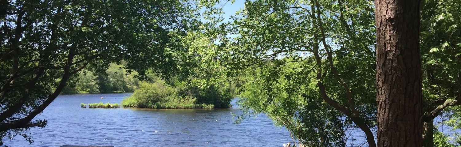 Peaceful Sunday 🌞🌷