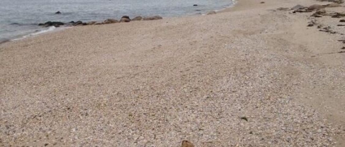 Beautiful north shore beaches, filled with big cliffs and drift wood along the miles of beaches.
#waterlust