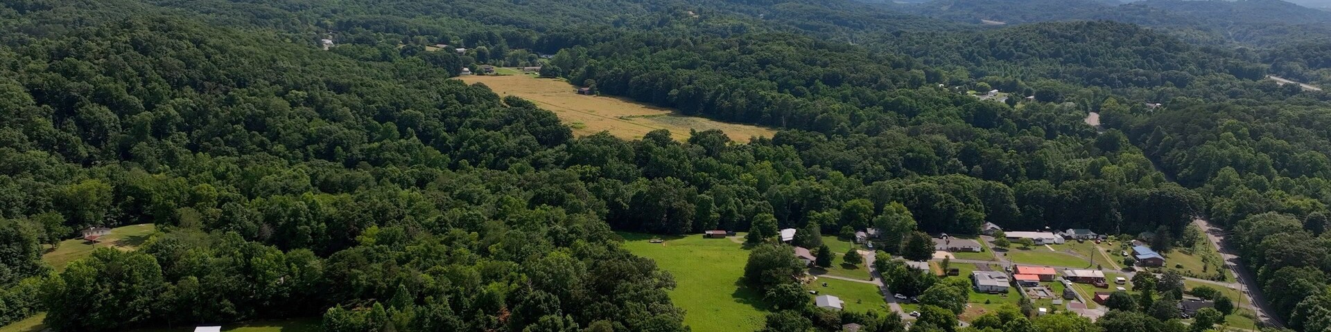 Um vale exuberante com casas dispersas e uma floresta densa.