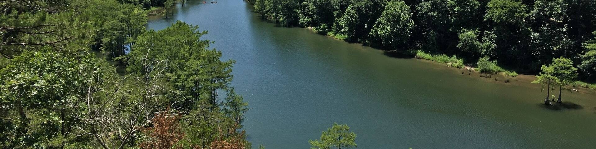 At the top of the cedar bluff trail overlooking the lower mountain fork river. Easy 1.5 mile hike loop.