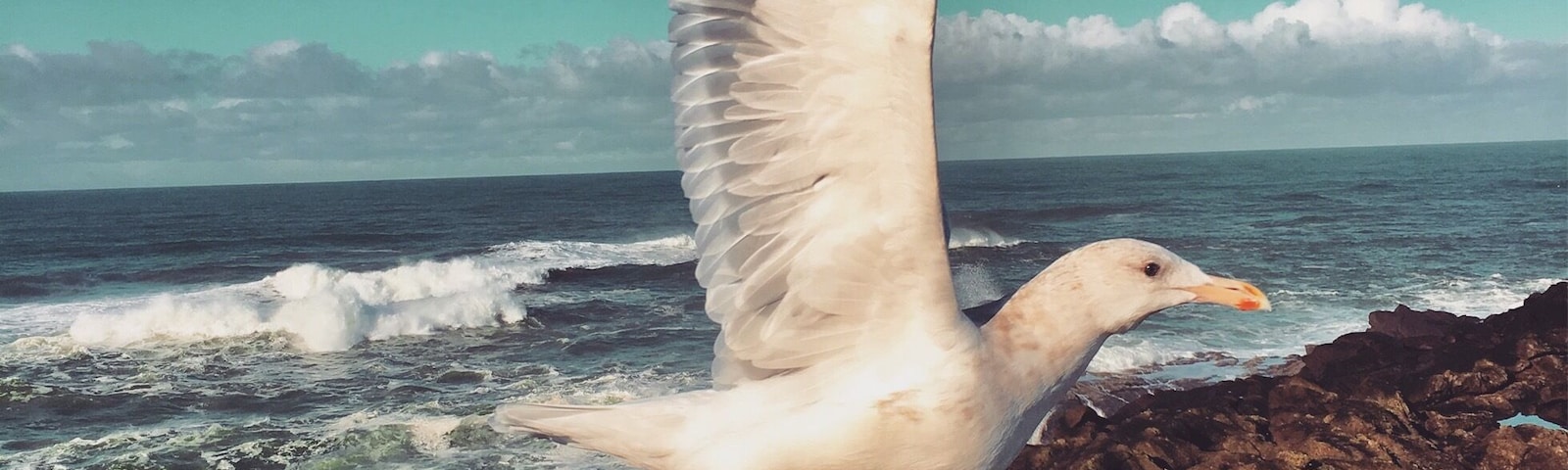 Whale watching 
😂🌊🌊🌊🌊