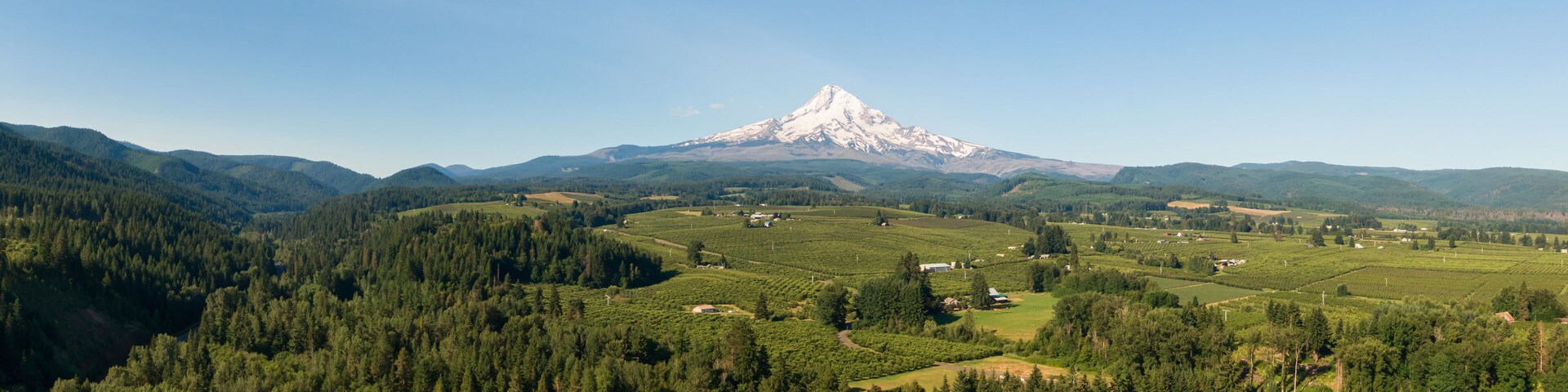 Uma montanha com pico nevado, cercada por florestas densas e campos agrícolas.