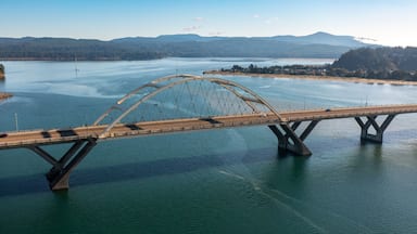 Uma grande ponte suspensa atravessa um rio largo, com paisagem arborizada e montanhas ao fundo.