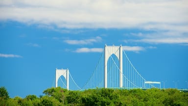 Uma grande ponte suspensa com duas torres e um arco central, cercada por árvores verdes exuberantes.