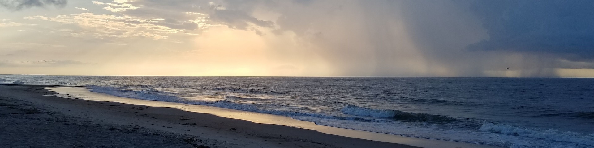 Rain over the ocean at sunrise. Edisto beach is quiet and beautiful. The perfect place to just enjoy the surf.