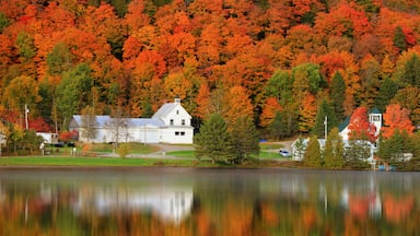 Uma casa branca cercada por folhagem outonal e um lago tranquilo.