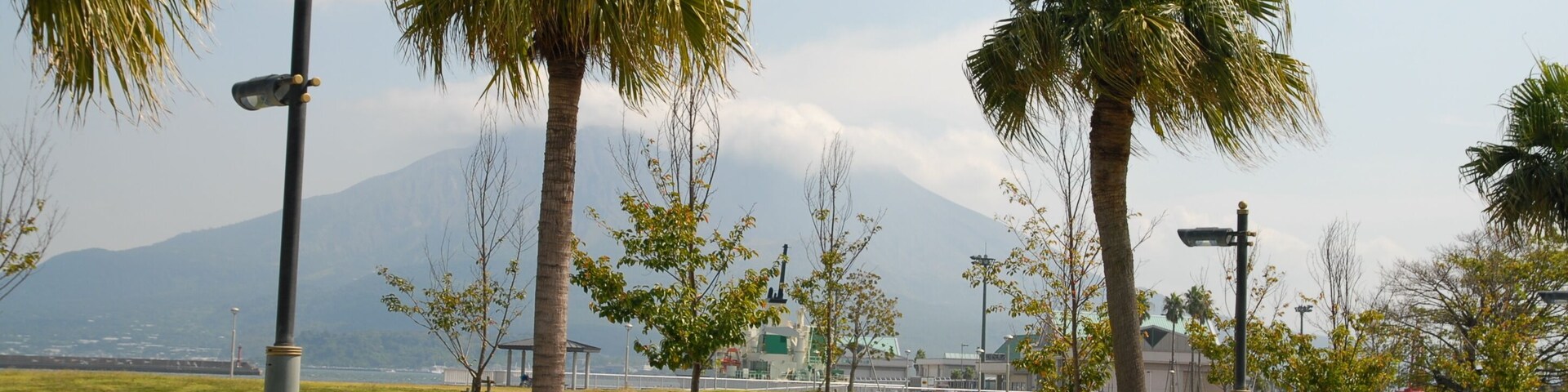 Um parque com palmeiras, um poste de luz e uma montanha ao fundo.
