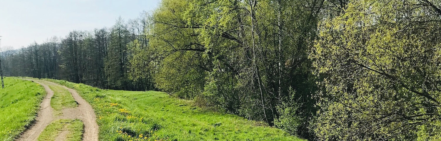 Great place to run, near the river Rudawa, near Błonia.