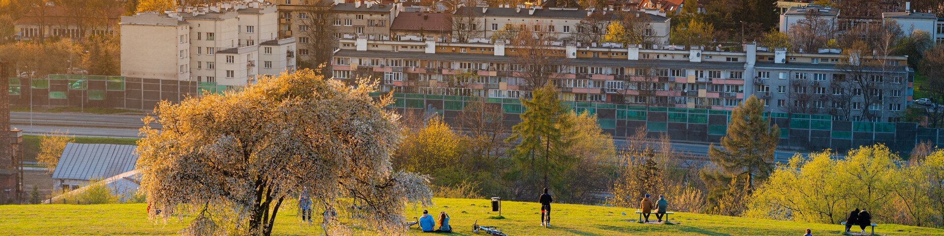 Paisagem urbana com edifícios históricos e um parque com pessoas e árvores.