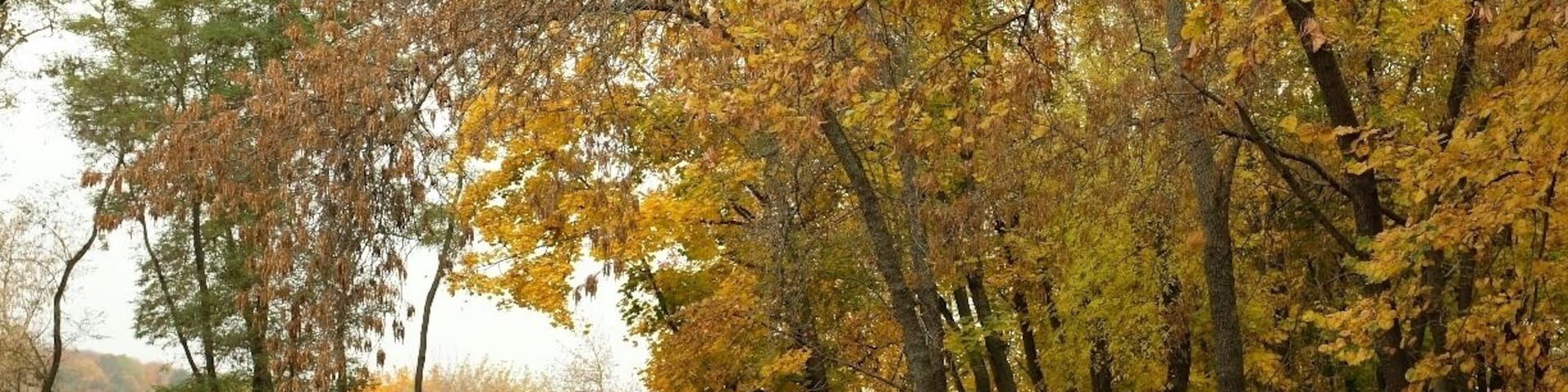 Walking around Kaunas Castle. Place where river Neris is flowing in to river Nemunas.