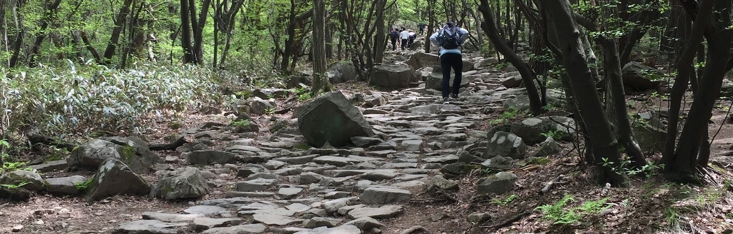 Trail on the way down.