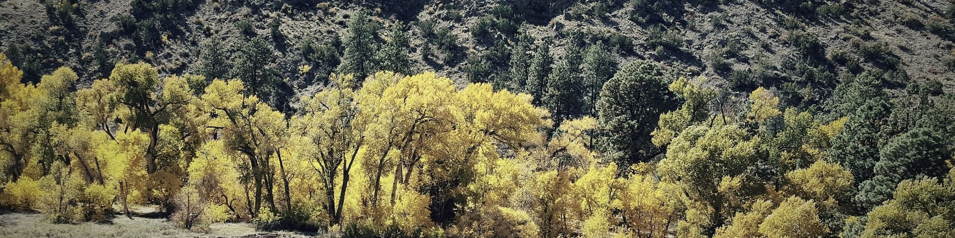 Colors were spectacular on this trip! Great time of the year to visit.