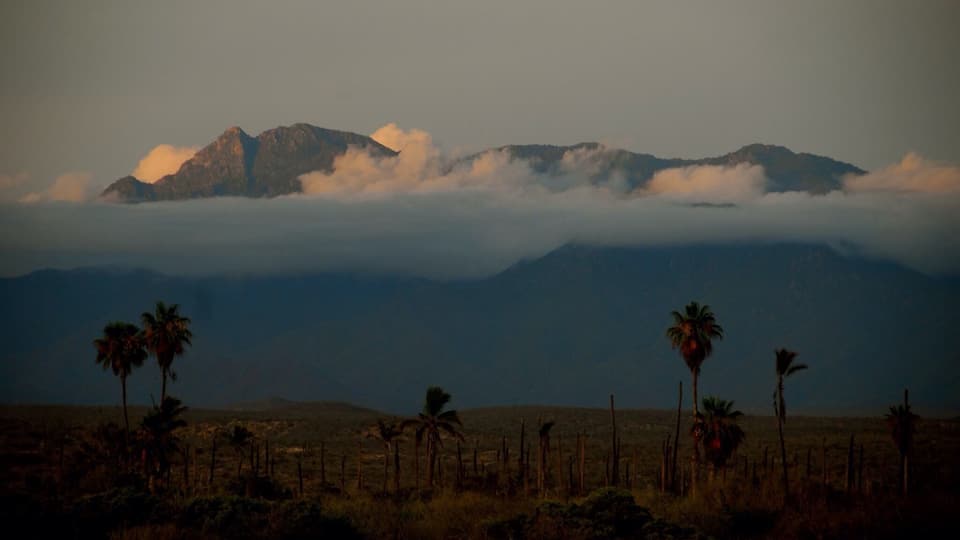 Suunset it's happening at very early time, while hiking a long the valley, we can see emerging in the fog, the chain of mountains. #sunset #hiking #magichour #goldenhour #outdoors #landscape #colorful #winterwonders
