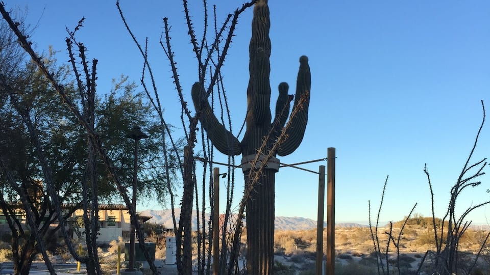 There are tags on everything informing of the tree's,plants, & how they interact with the climate
#blue travels