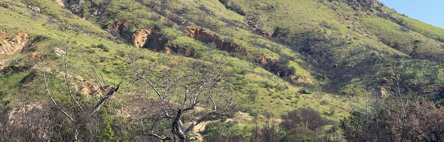 Beautiful when it’s green