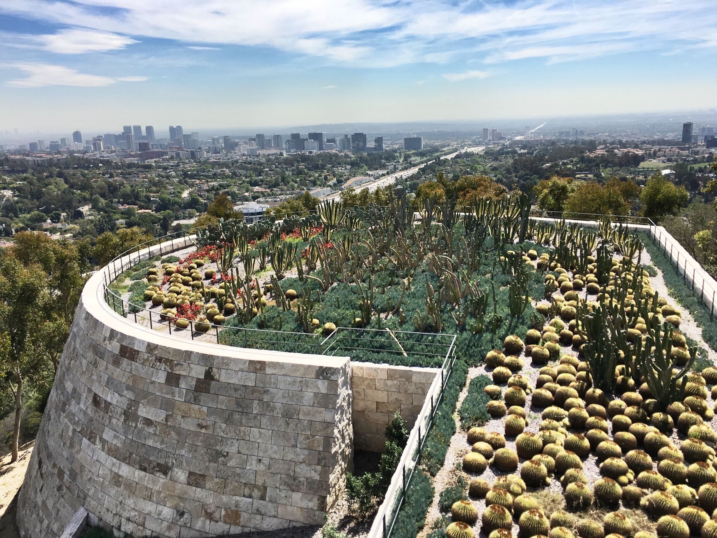 Um jardim de cactos com um horizonte urbano ao fundo.