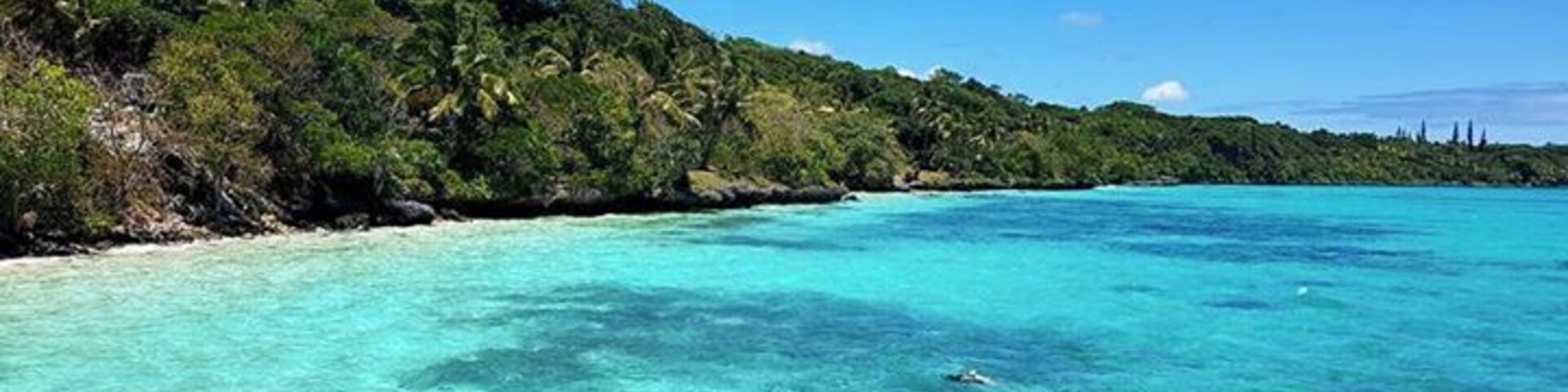 Um mar azul-turquesa, uma praia de areia e uma colina arborizada.