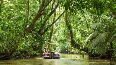 Um grupo de pessoas em um barco, cercado por uma floresta densa e verde.