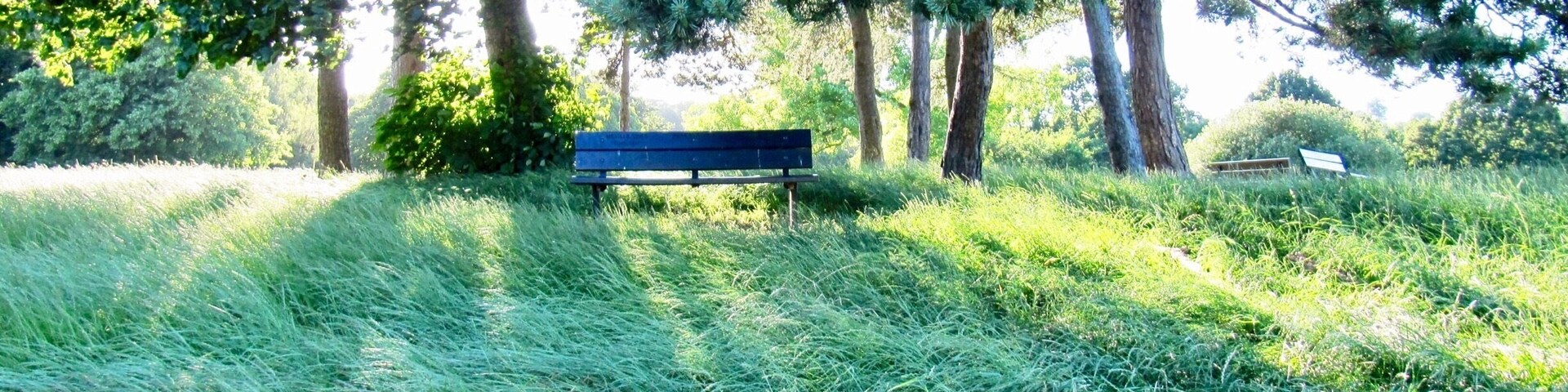 It's all about finding the calm in the chaos. #LifeAtExpedia