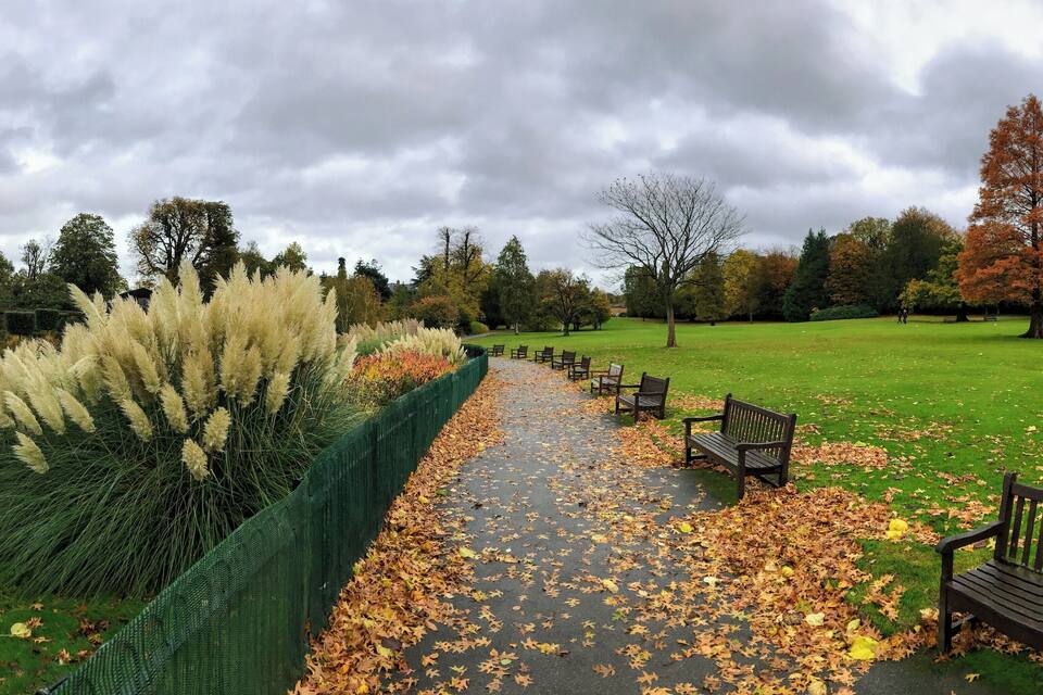 Uma trilha no parque bordeada por bancos, um corpo d'água e árvores com folhas de outono.