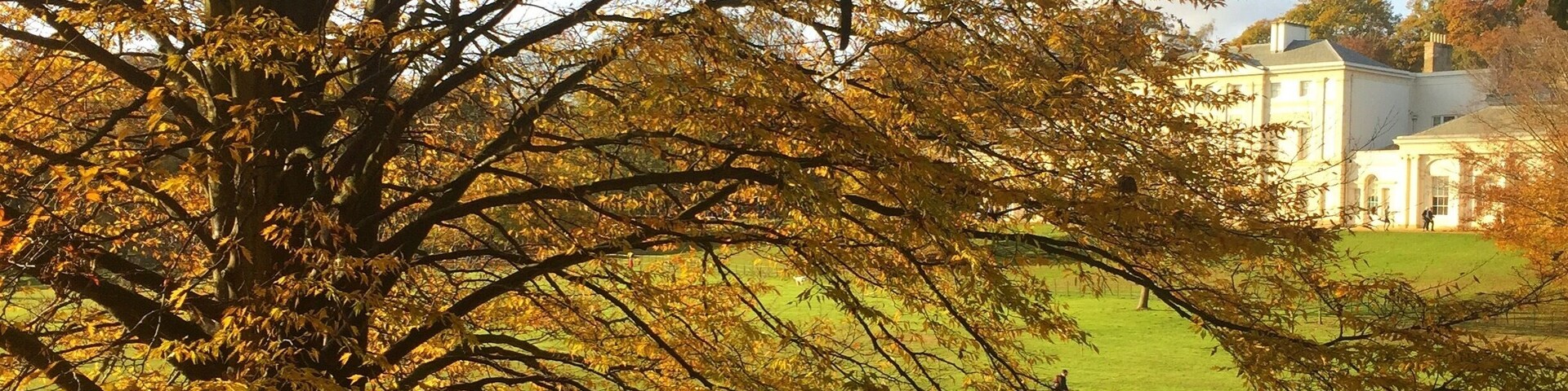 #Hampstead Heath 
#Paradise in London #Kenwood house #English Heritage