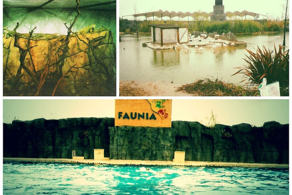 Uma costa rochosa com uma placa que diz 'FAUNIA' e uma piscina de água.