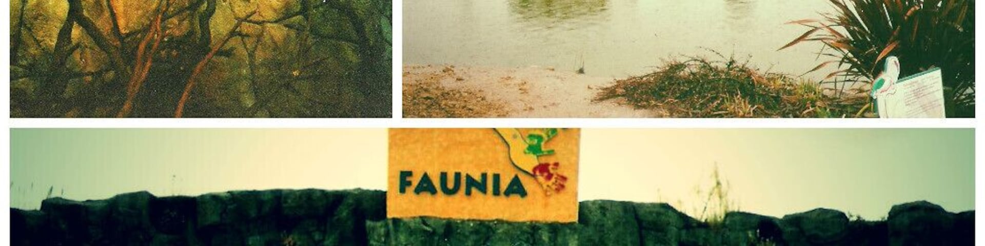 #Faunia is a botanical garden and zoo in #Madrid, #Spain. It's organized into areas representing different ecosystems such as jungle, poles, or African forest.