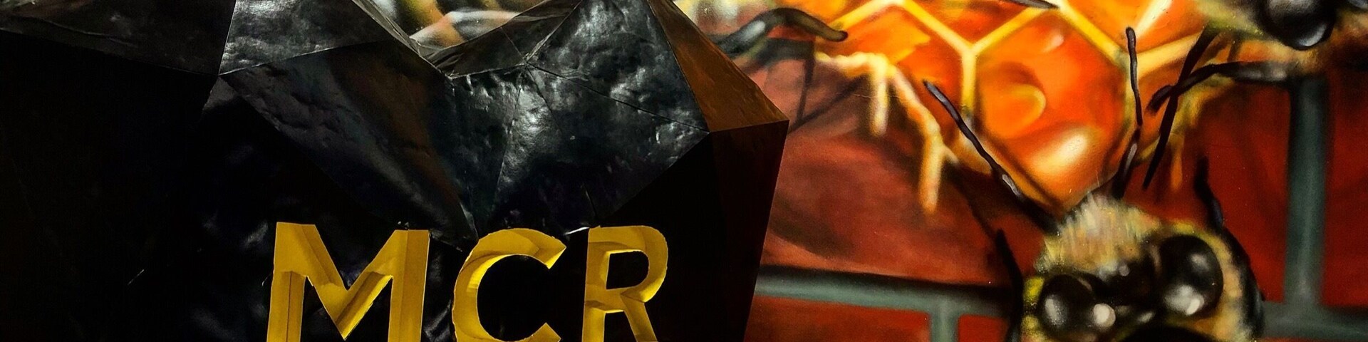 Since the tragedy of the Manchester Arena bombing, the bee has become an even more iconic symbol of this amazing city, highlighting the working ethic of this community, and in this case, their strength in working together #manchester #mcr #Culture