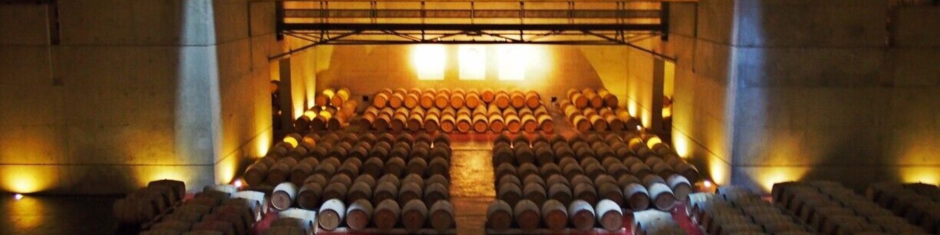 This is the wine cellar at O Fournier in the Mendoza wine region in Argentia. Omnius and incredible. The architecture and art in the winery may be better than than the wine...