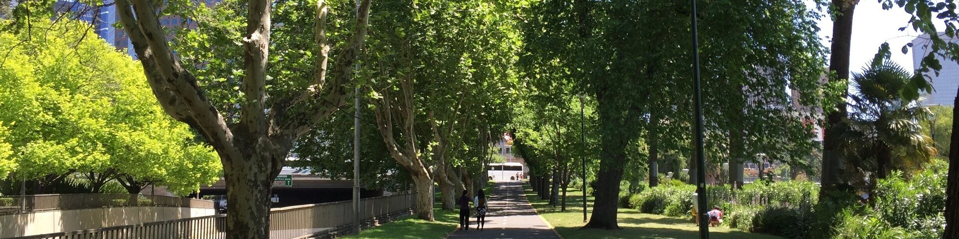 Melbourne has a lot of green space. Alexandra gardens is beautiful.
