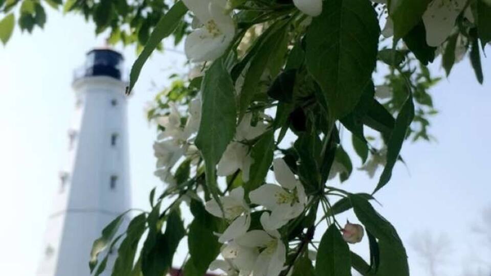 #LoveMyTown because of the beautiful parks! Milwaukee has so many beautiful parks in the city that are great for exploring or just sitting back to relax.