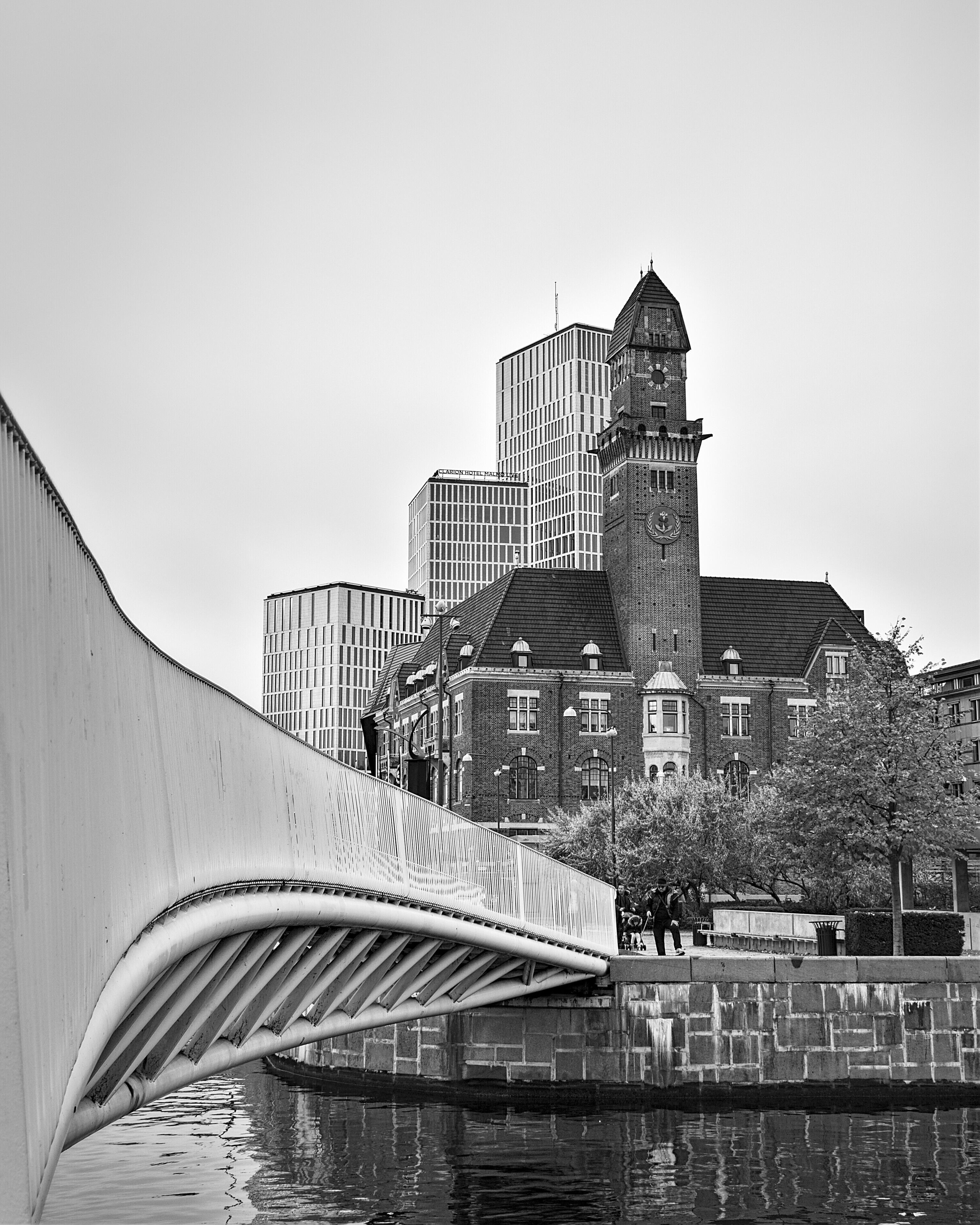 New meets old
 #Trovember