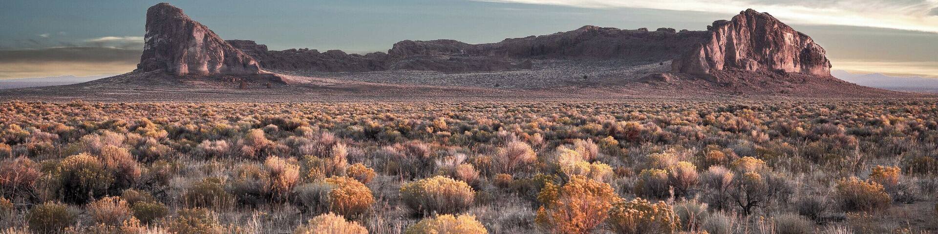 Southeastern Oregon is one of the least populated places in the nation. From Bend travel South through La Pine and left on State road 31. Do not miss the museum in town. Totally worth the drive.